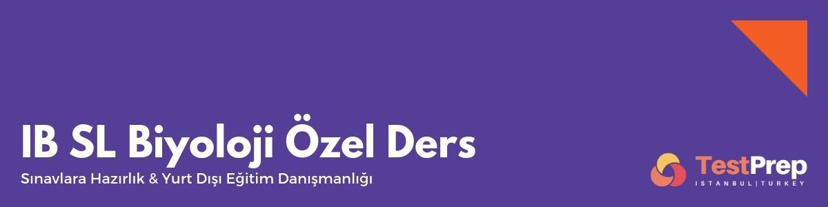 IB Biyoloji SL Özel Ders | IB SL Biyoloji Kursu - IB Özel Ders IB Biyoloji SL Özel Ders | IB SL Biyoloji Kursu - IB Özel Ders